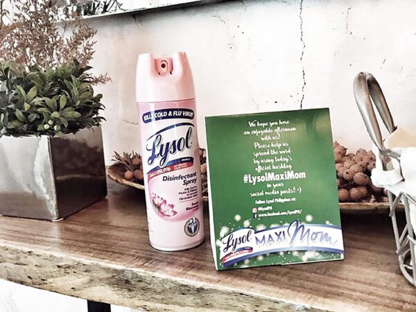 Lysol Max Cover for Soft Surfaces - MarilenStyles.com